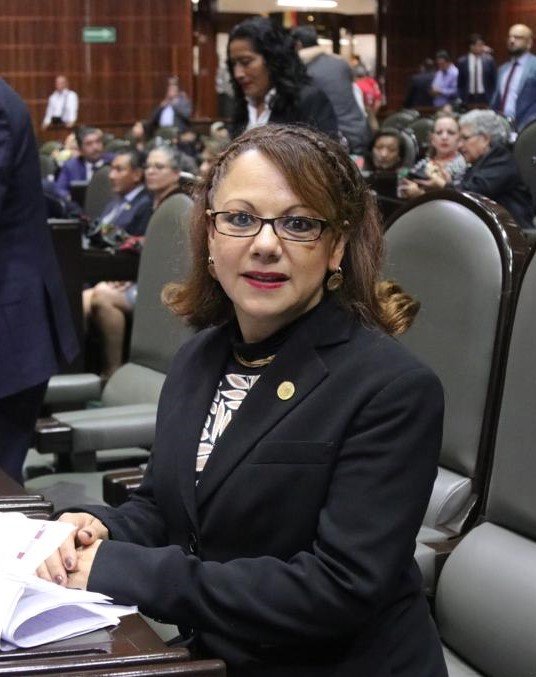 Participa la legisladora federal Claudia Pérez en Parlamento Abierto ...